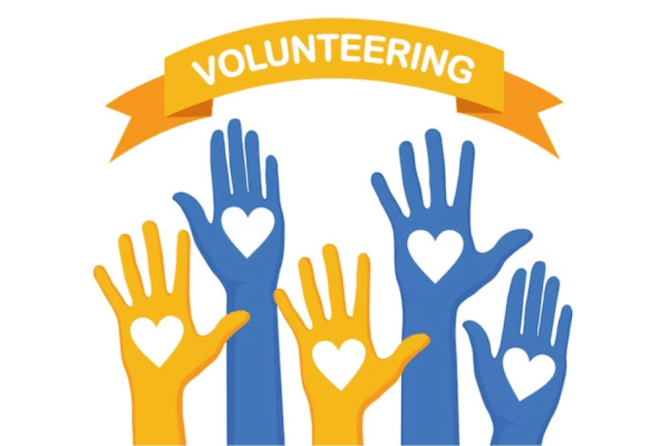 The Power of Volunteers: Building Stronger Communities in Marlborough ...